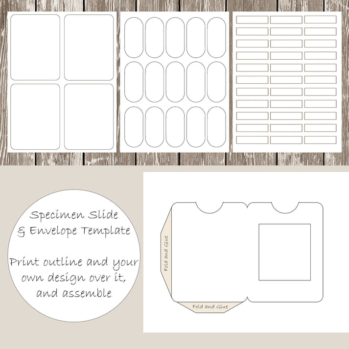 Specimen Slide Template – Country Mouse Prints